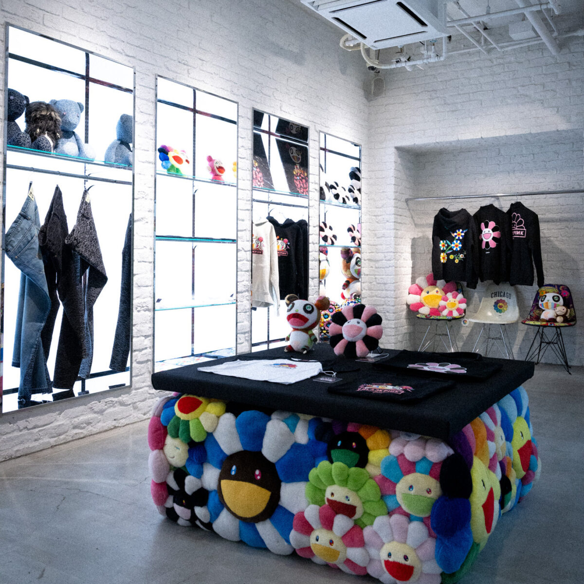 NEWS | Zingaro official Web